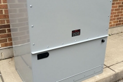 Pad Mounted Generator Connection Box | Berthold Electric